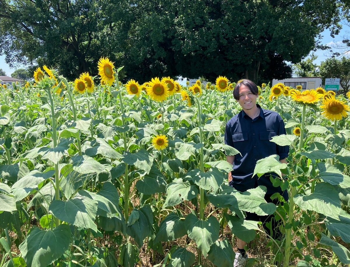 群馬県前橋市を拠点とするJリーグ/ザスパ群馬のクラブハウスで約600本のひまわりが見頃に！ | めざましmedia | “好き”でつながる