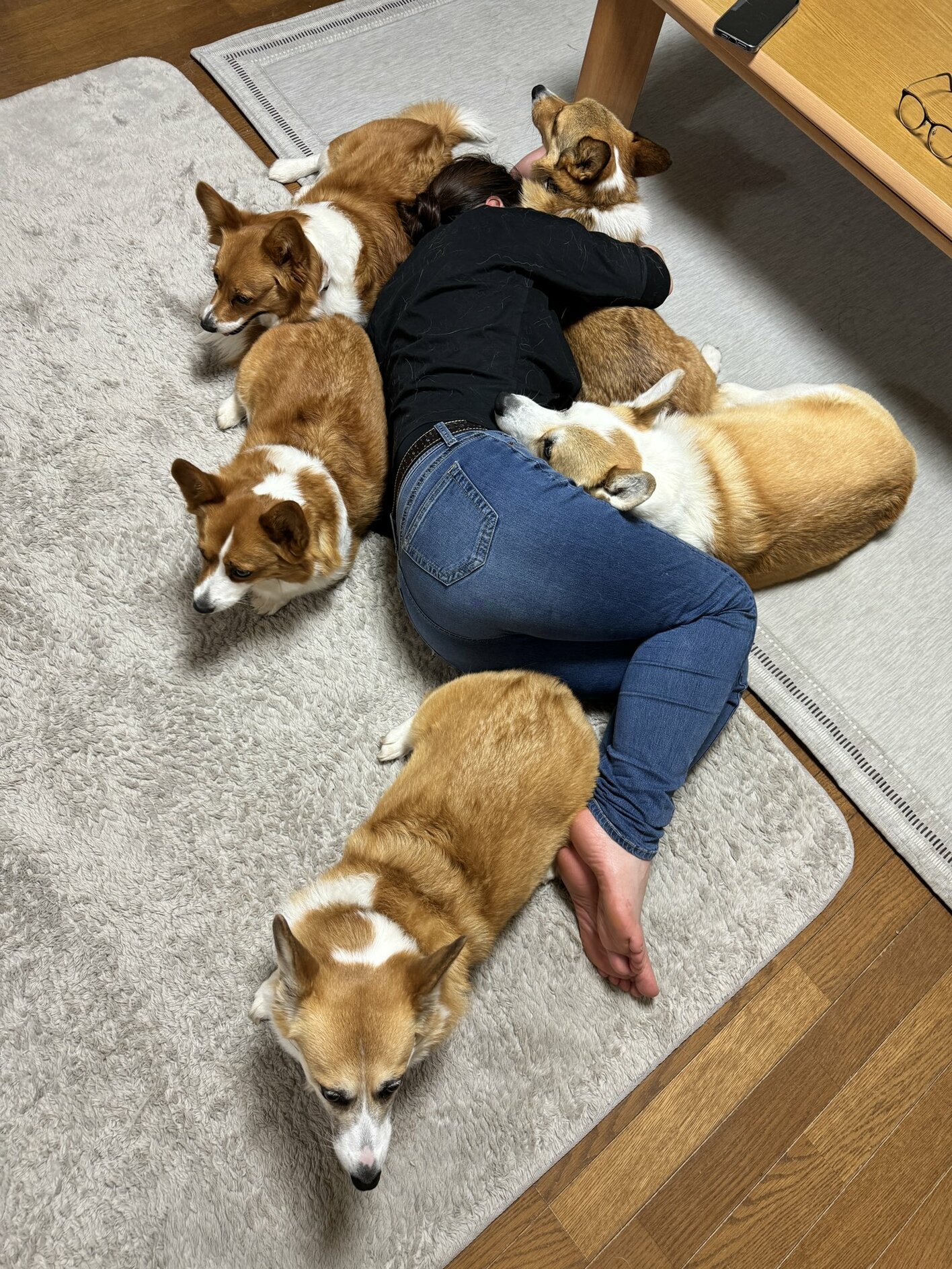 「モフモフがいっぱい」うたた寝する飼い主を囲む“5匹のコーギー”が話題 「羨ましい」と癒やされる人続出【激かわアニマル奇跡の瞬間 ...
